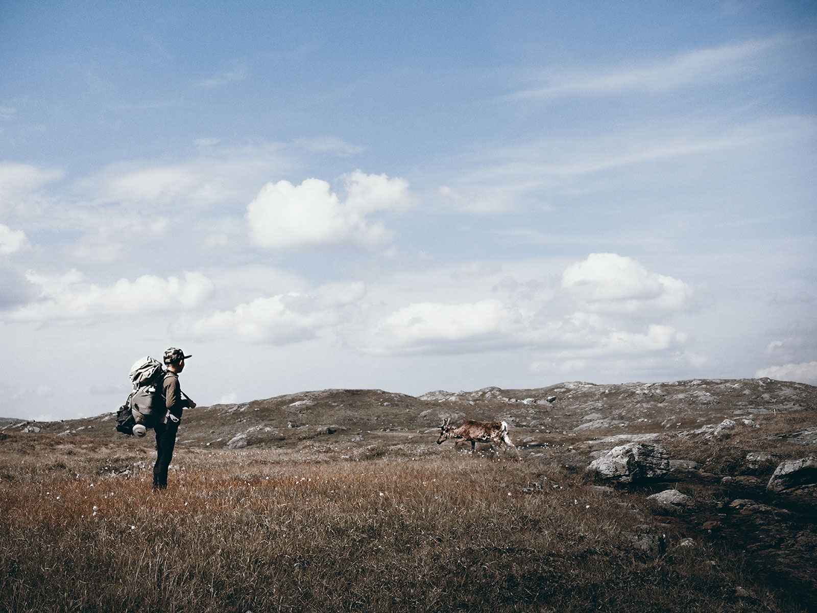 Jämtlandtriangeln -en vandring med barn - Barnens Turistguide