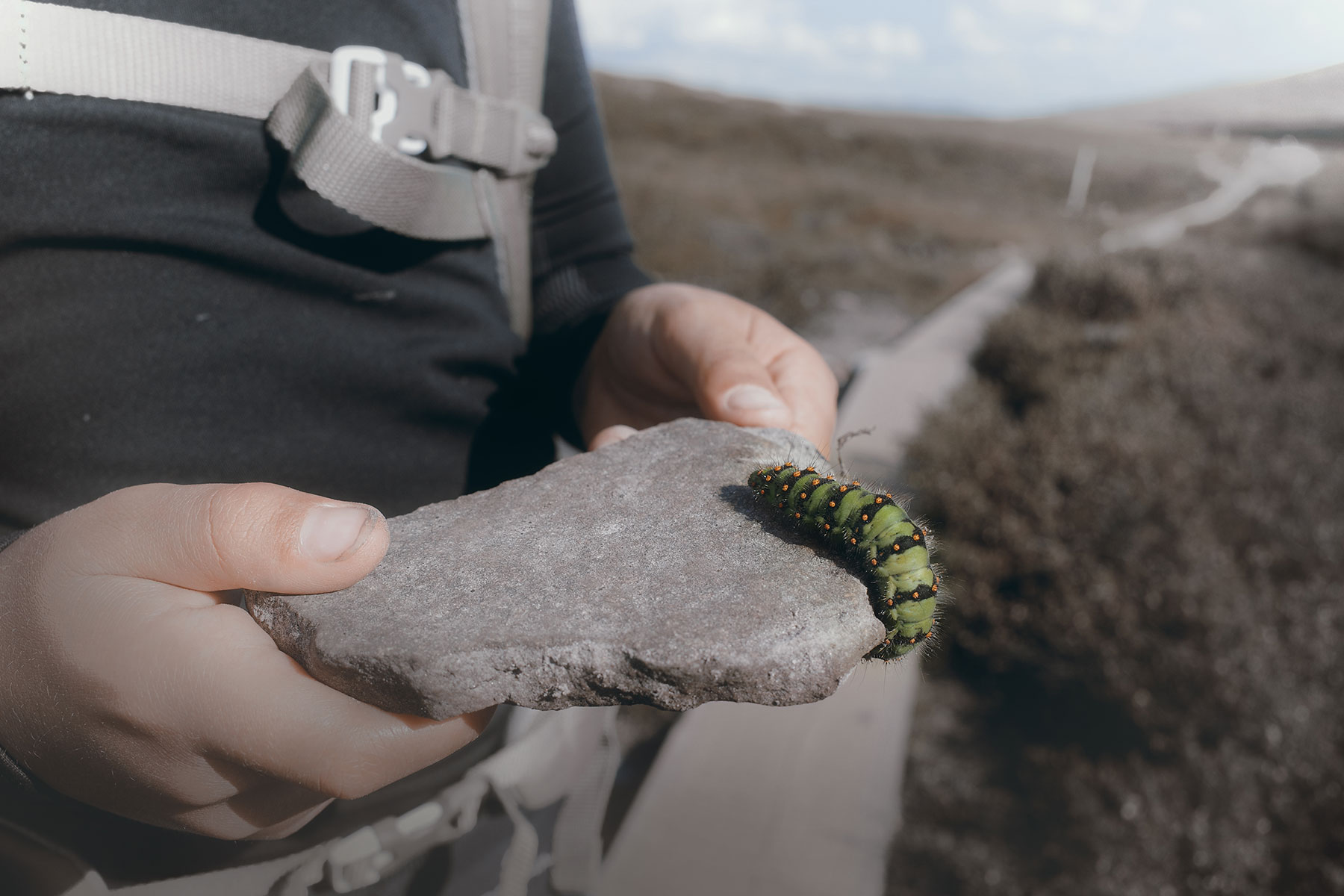 Jämtlandtriangeln -en vandring med barn - Barnens Turistguide