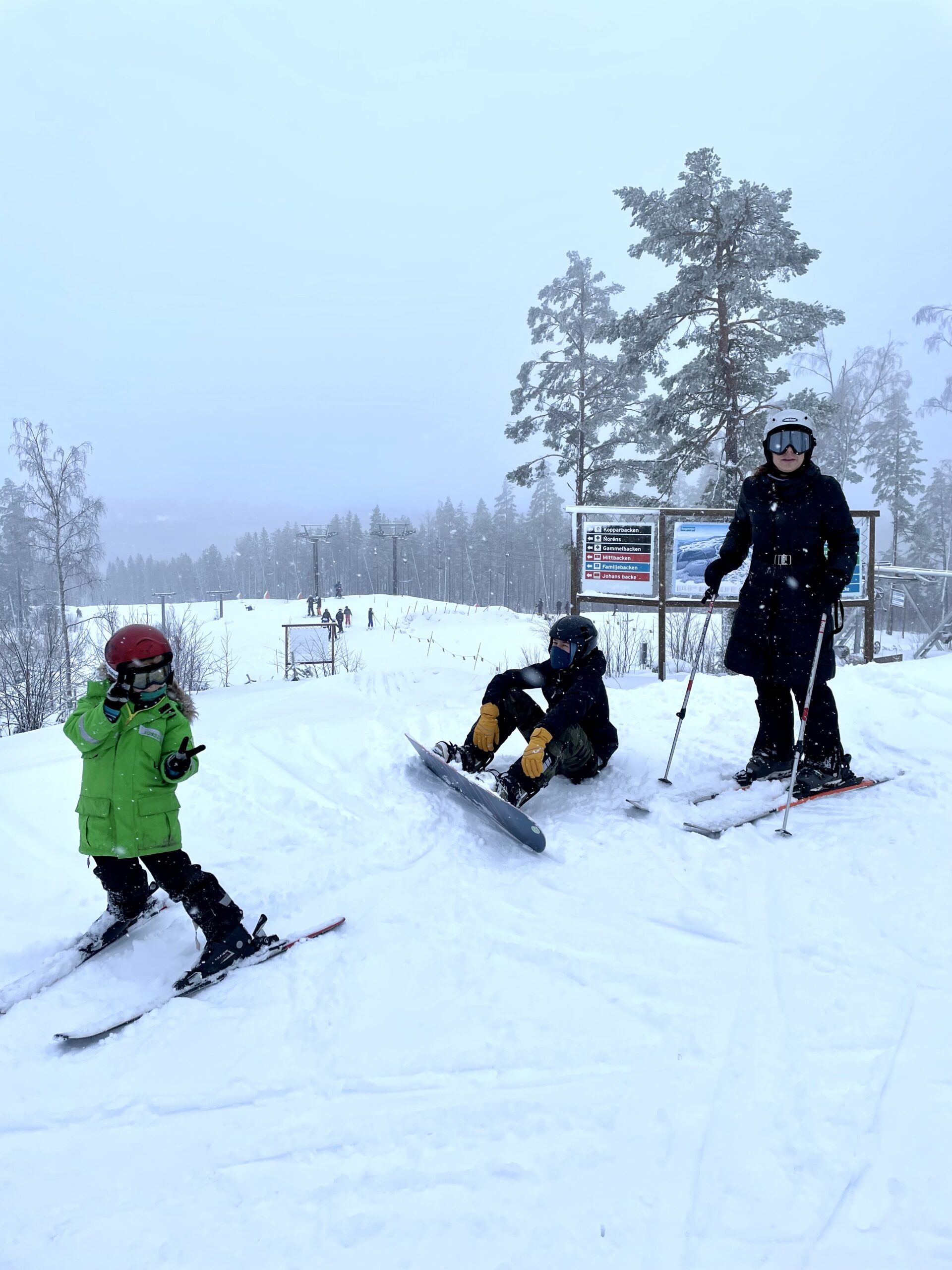 Kungsberget – ett härligt resmål för barnfamiljen - Barnens Turistguide