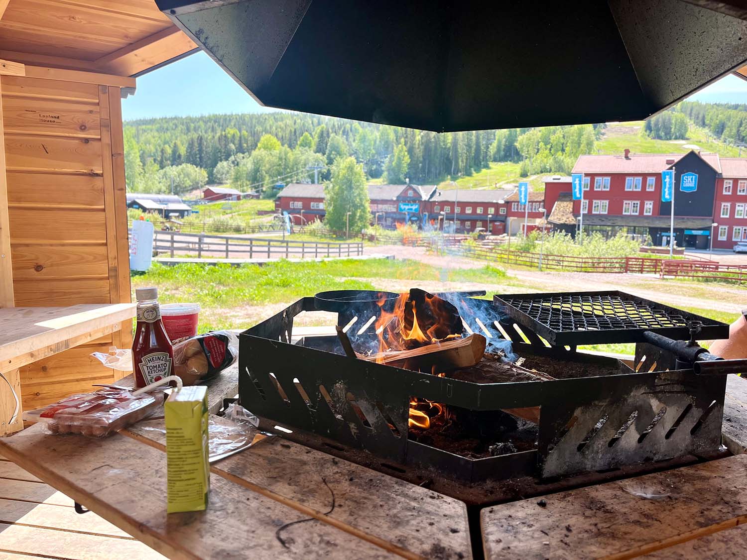 Kungsberget sommartid i vacker sommarskrud - Barnens Turistguide