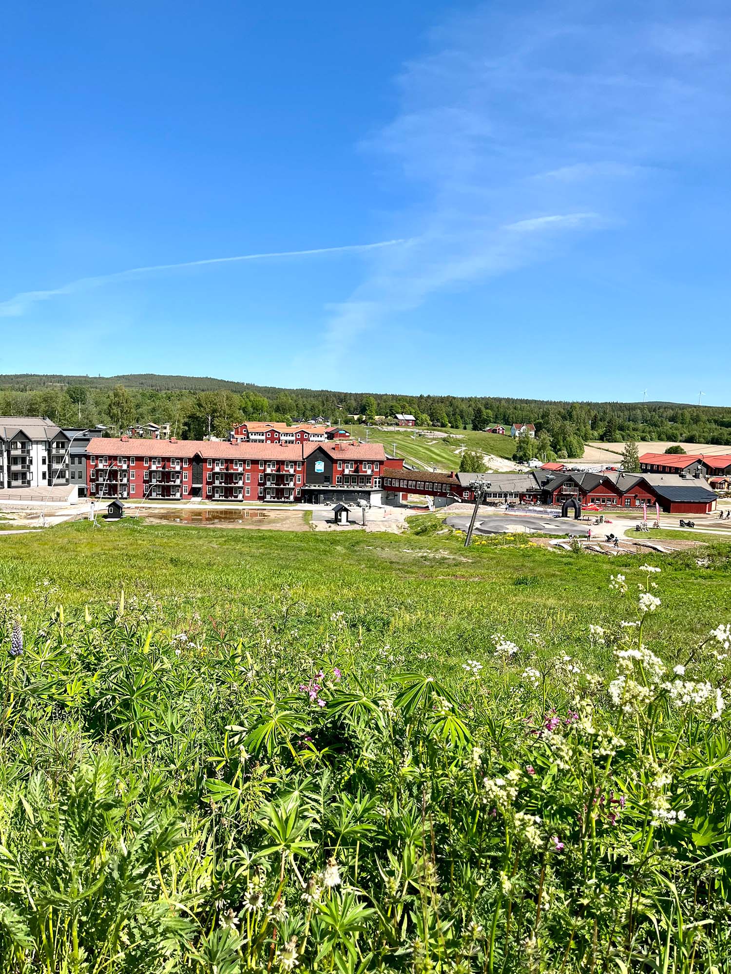 Kungsberget sommartid i vacker sommarskrud - Barnens Turistguide