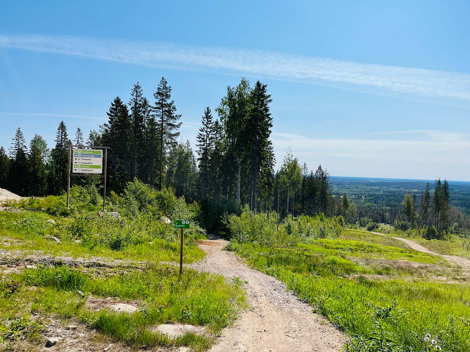 Kungsberget sommartid i vacker sommarskrud - Barnens Turistguide