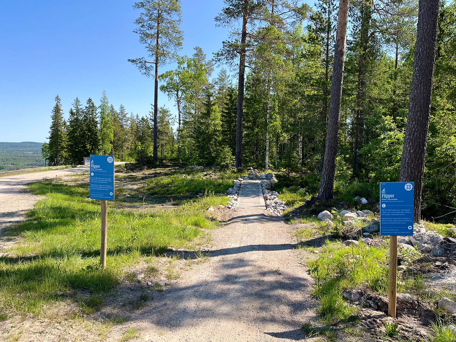 Kungsberget sommartid i vacker sommarskrud - Barnens Turistguide